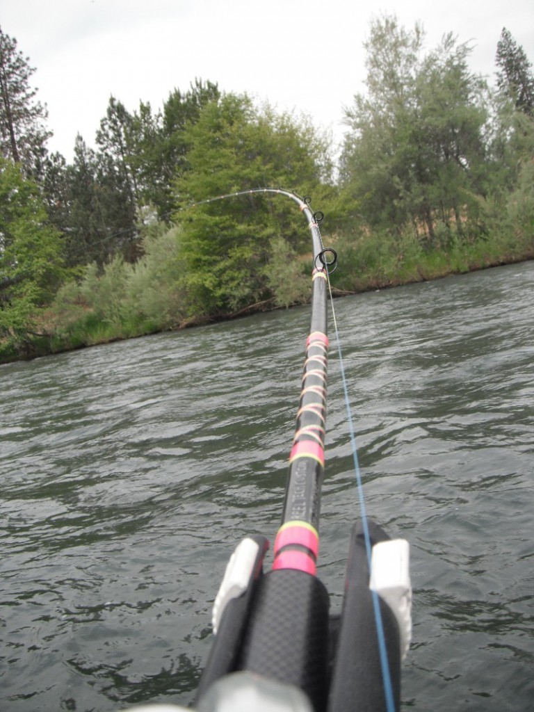 Reel Tech Custom Salmon Rods in Action | The Reel Tech Blog